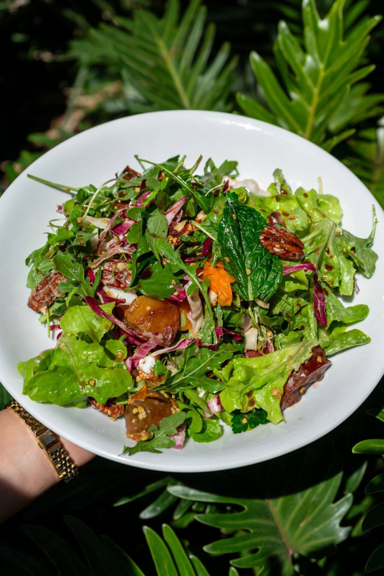 Summer Menu 2025–26 | The Glen Hotel Eight Mile Plains